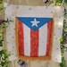 Puerto Rican Flag Paper Piecing Pattern Quilt Block - 12inx12in ...