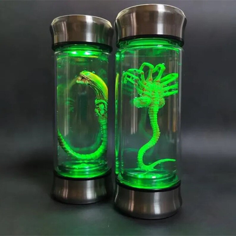 Alien Xenomorph Specimen, Facehugger Embryo Glass Jar, Alien Movie Prop ...