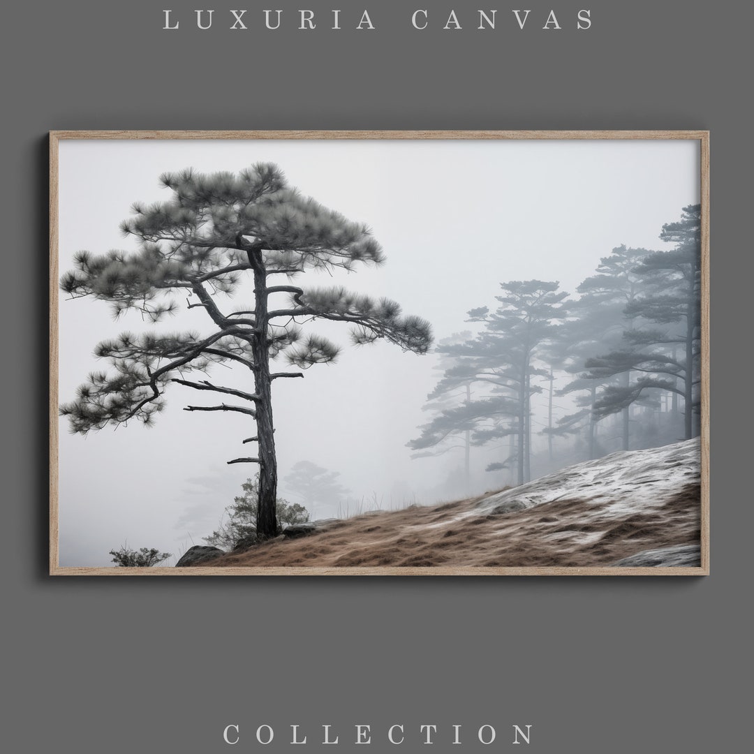 Winter Pine Tree in Misty Landscape, Digital Download, Digital Art ...