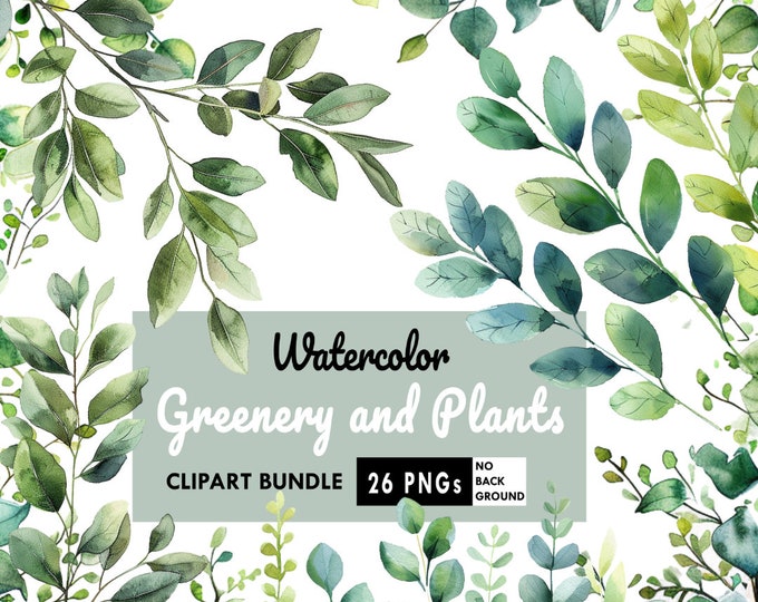 Watercolor Eucalyptus Leaves Clipart, Eucalyptus Shower Greenery ...