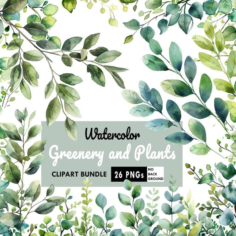 Watercolor Eucalyptus Leaves Clipart, Eucalyptus Shower Greenery ...