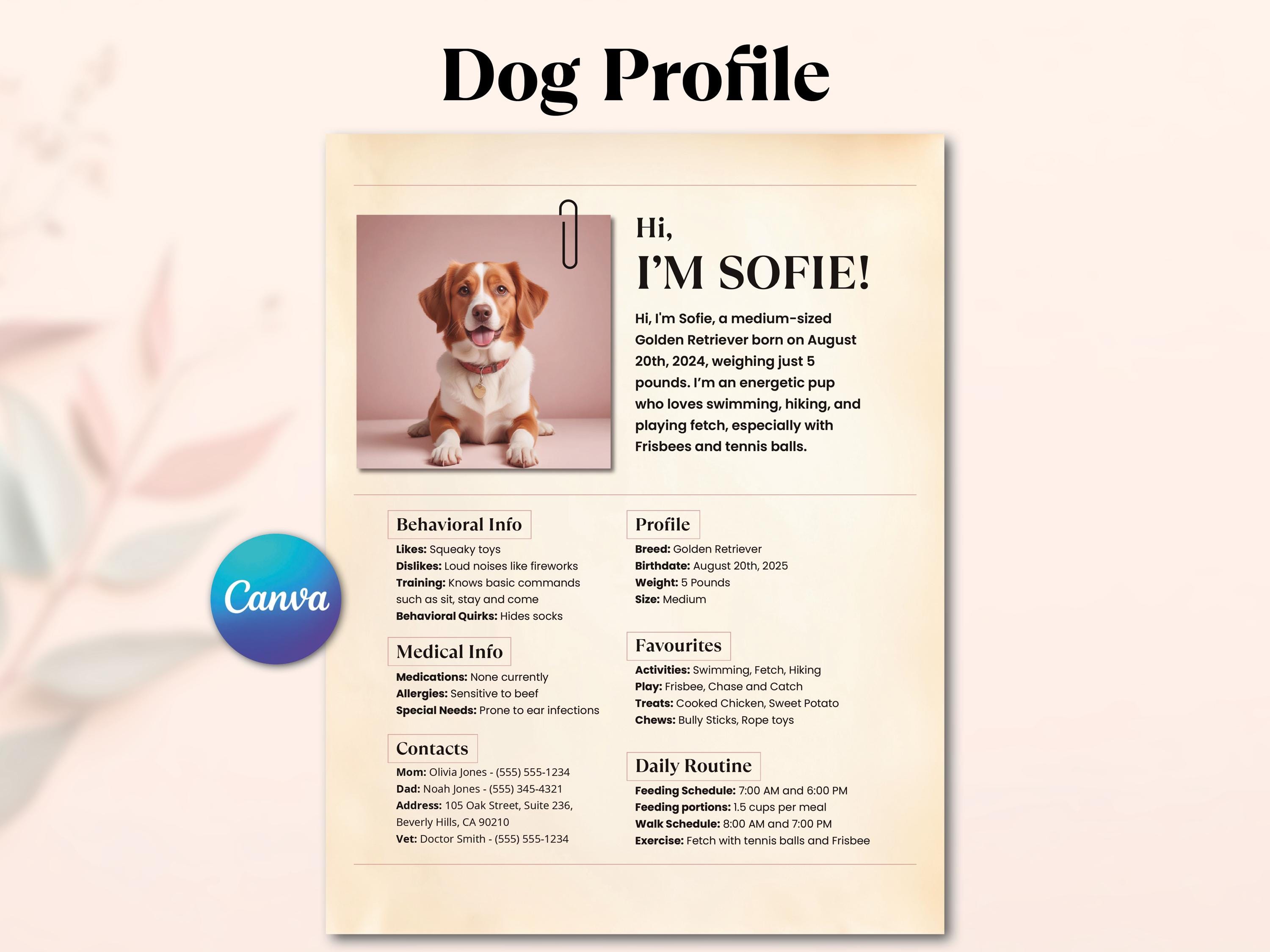 Pet Profile CANVA Template: Dog Sitter Notes (digital Download) - Etsy