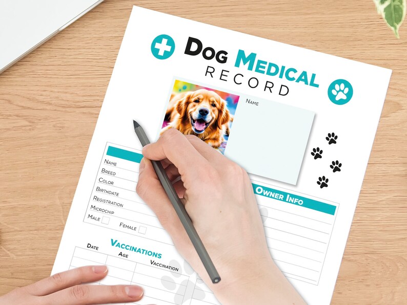 Editable Printable and Digital Use Dog Medical Record Schedule Planner ...