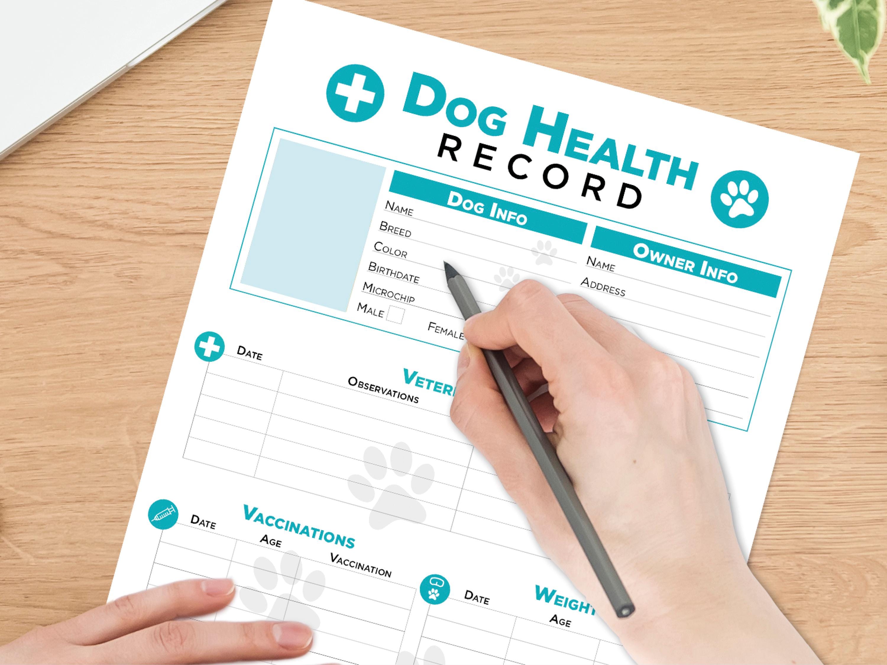 Editable Dog Health Record: Vet Visit & Vaccination Tracker (PDF ...