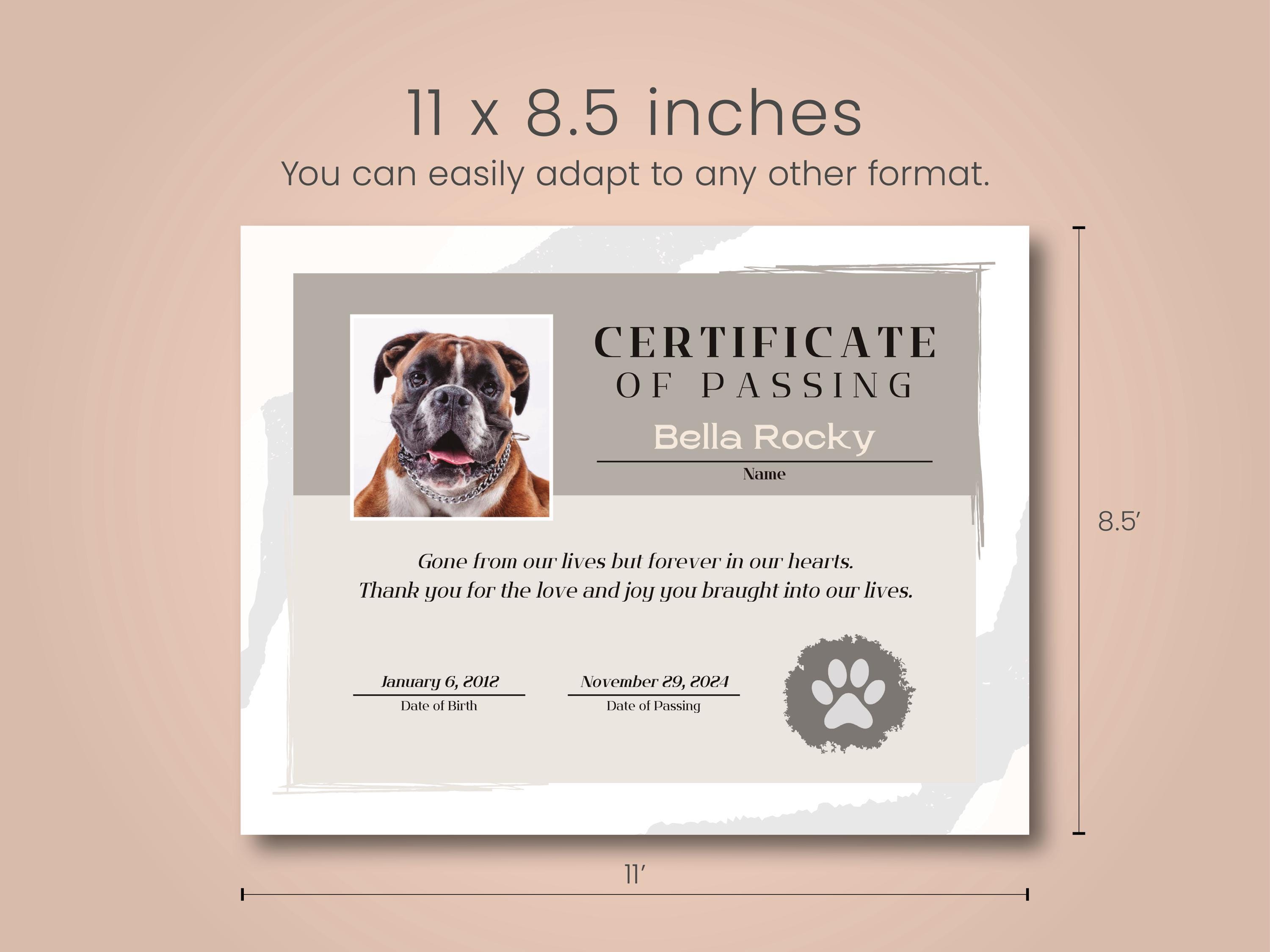 Dog Memorial Certificate Template: Pet Loss Keepsake (canva Edit ...