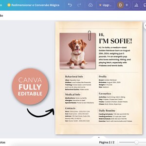 Pet Profile CANVA Template: Dog Sitter Notes (digital Download) - Etsy