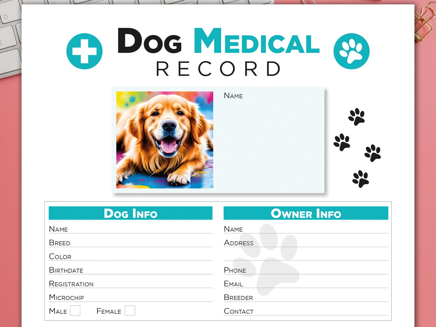 Editable Printable and Digital Use Dog Medical Record Schedule Planner ...