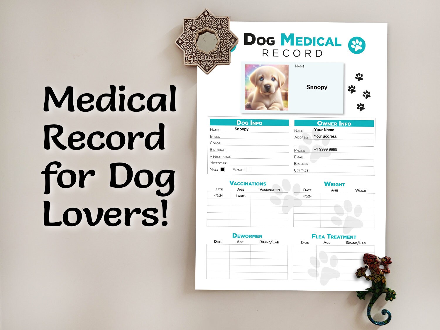 Editable Printable and Digital Use Dog Medical Record Schedule Planner ...