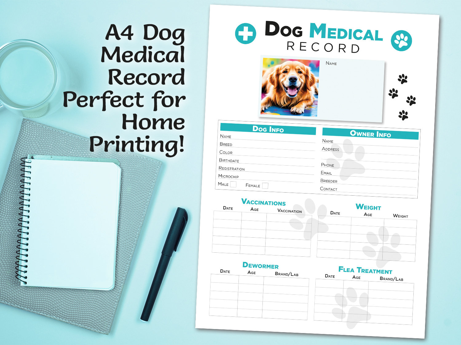 Editable Printable and Digital Use Dog Medical Record Schedule Planner ...