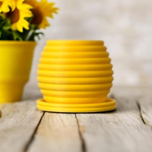 Beehive Flower Pot for House Plants | 20 Colors Available | Honey Bee ...