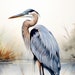 Great Blue Heron Digital Download Art, Audubon Birds, Wetlands, Marsh ...