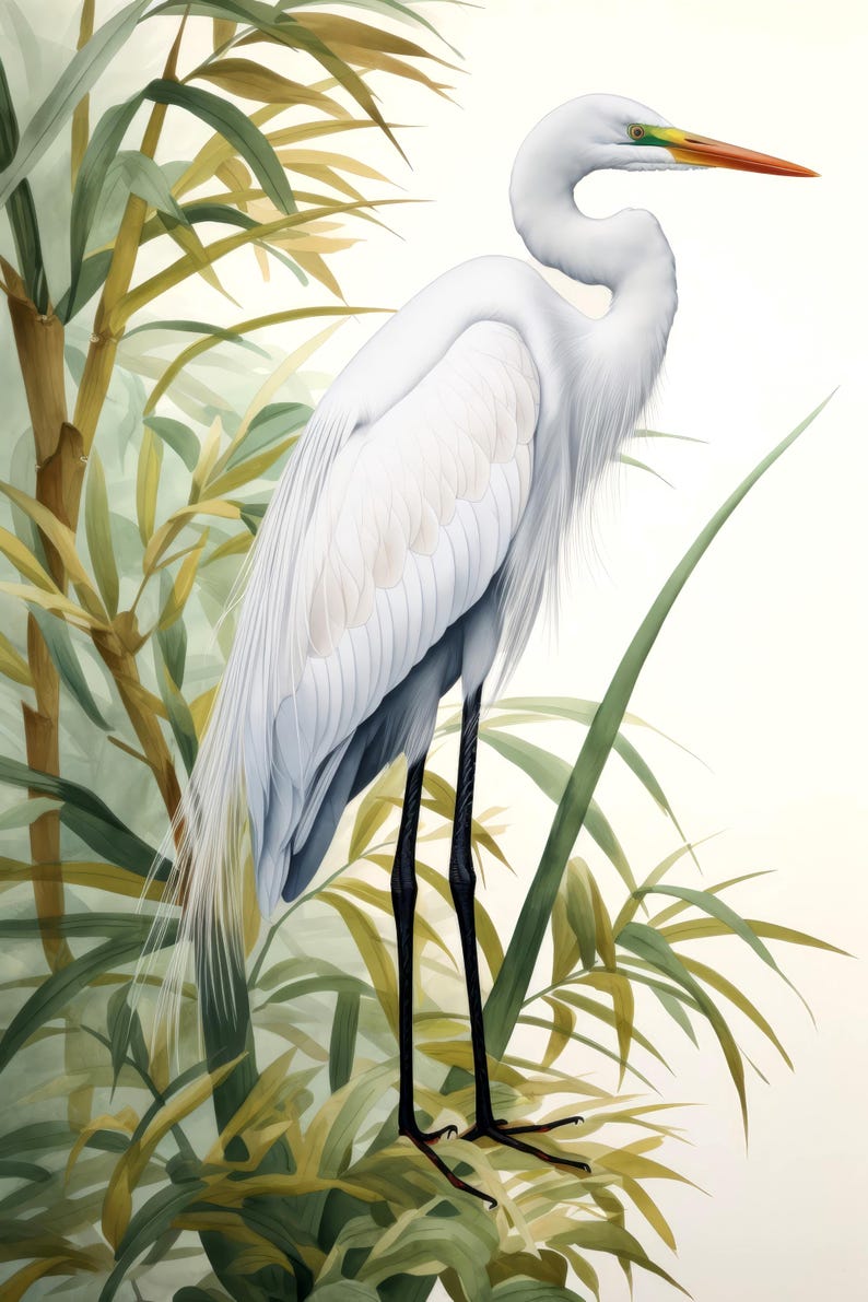 Great Egret 2 Digital Download Art, Great Egret, Great Egret Painting ...