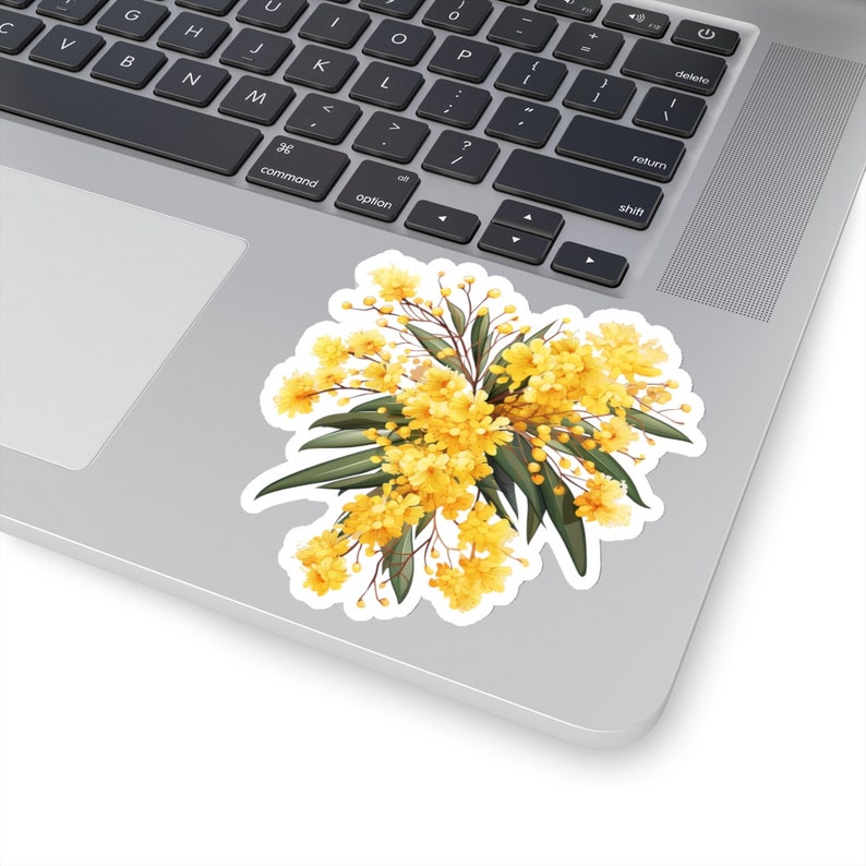 Australian Wattle Plant | Australian Sticker | Travel Stickers ...