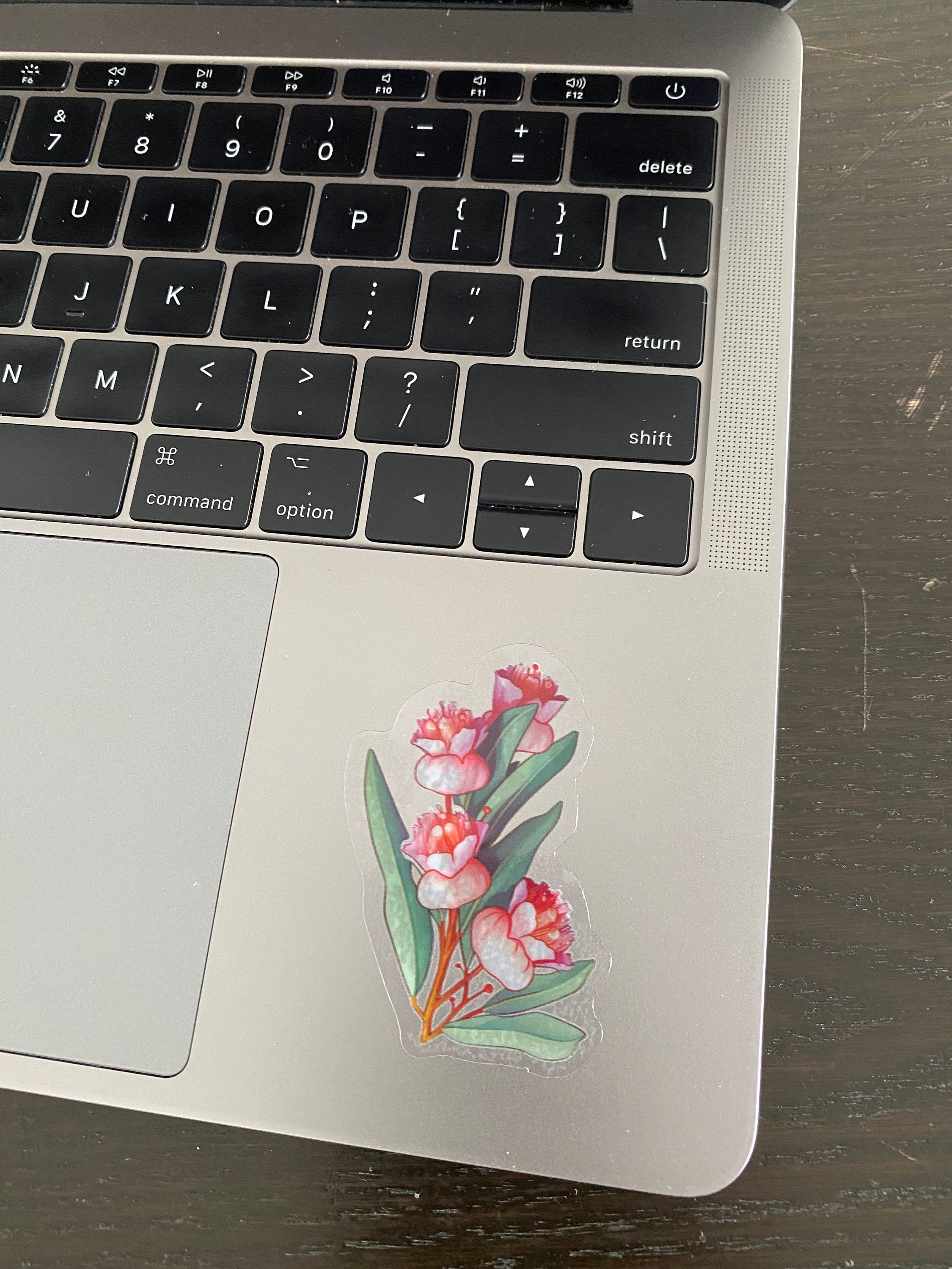 Cute Australian Plant Banksia Flower Australian Flower Stickerkiss-cut ...