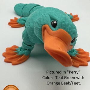 Platypus, 3D Printed, Articulated Flexi - Etsy