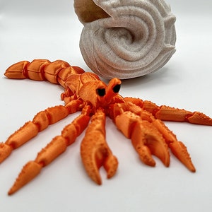 Hermit Crab and Shell, 3D Printed - Etsy