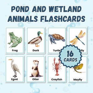 Pond & Wetland Animal Flashcards: Montessori Nature Learning (PDF ...