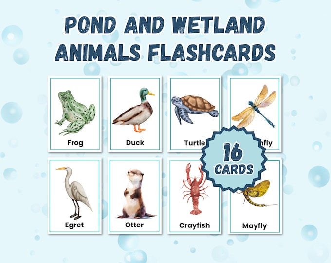Pond & Wetland Animal Flashcards: Montessori Nature Learning (PDF ...