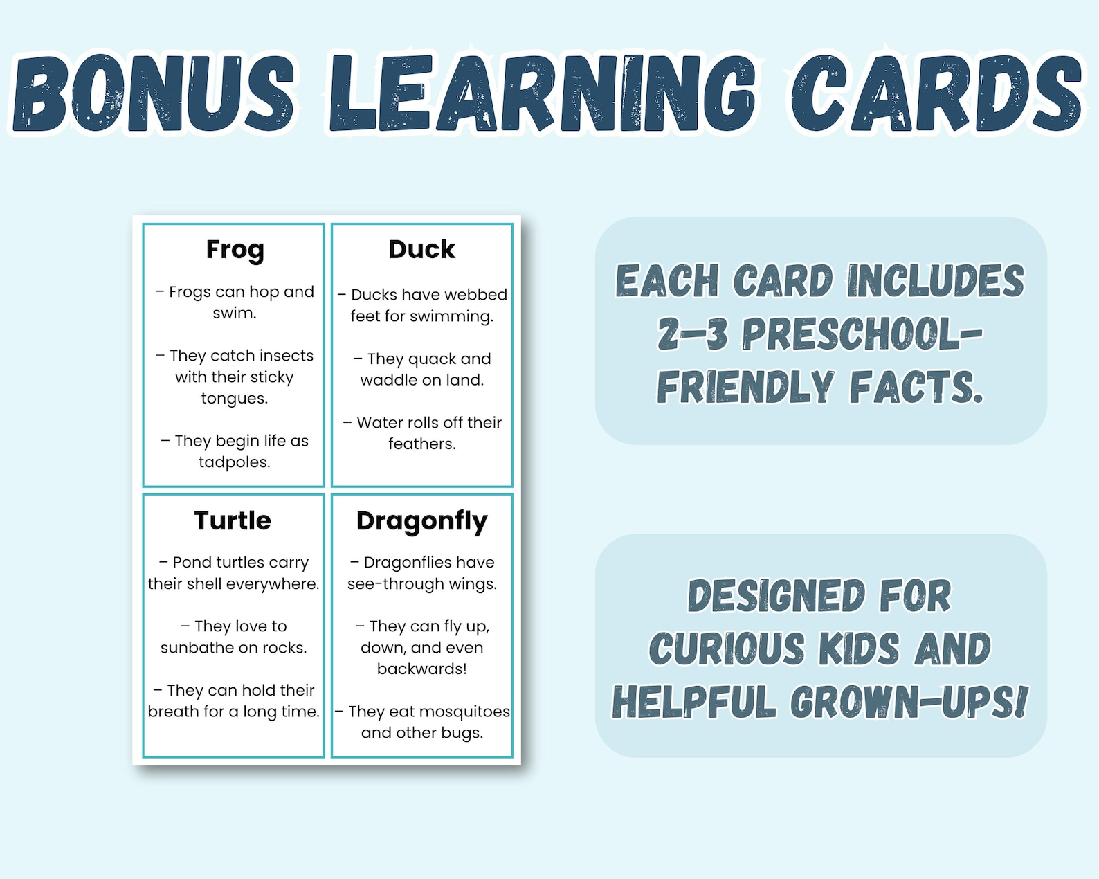Pond & Wetland Animal Flashcards: Montessori Nature Learning (PDF ...