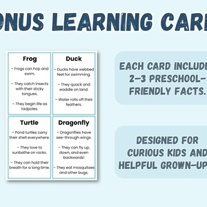 Pond & Wetland Animal Flashcards: Montessori Nature Learning (PDF ...