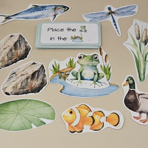 Prepositions Activity Printable | Frog Pond Positional Words ...