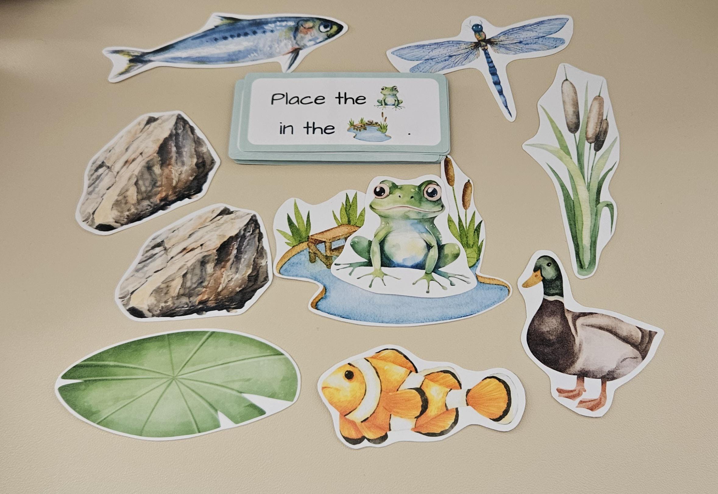 Prepositions Activity Printable | Frog Pond Positional Words ...