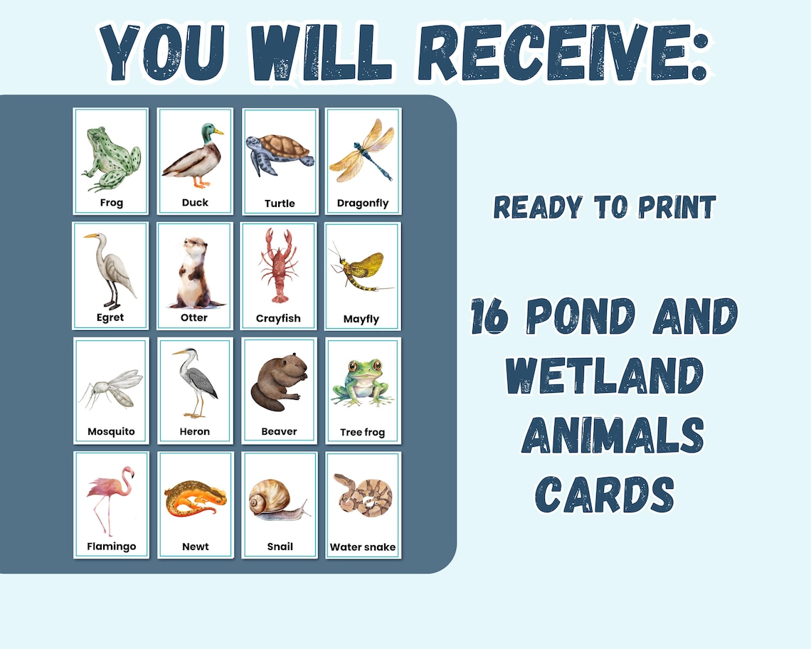 Pond & Wetland Animal Flashcards: Montessori Nature Learning (PDF ...