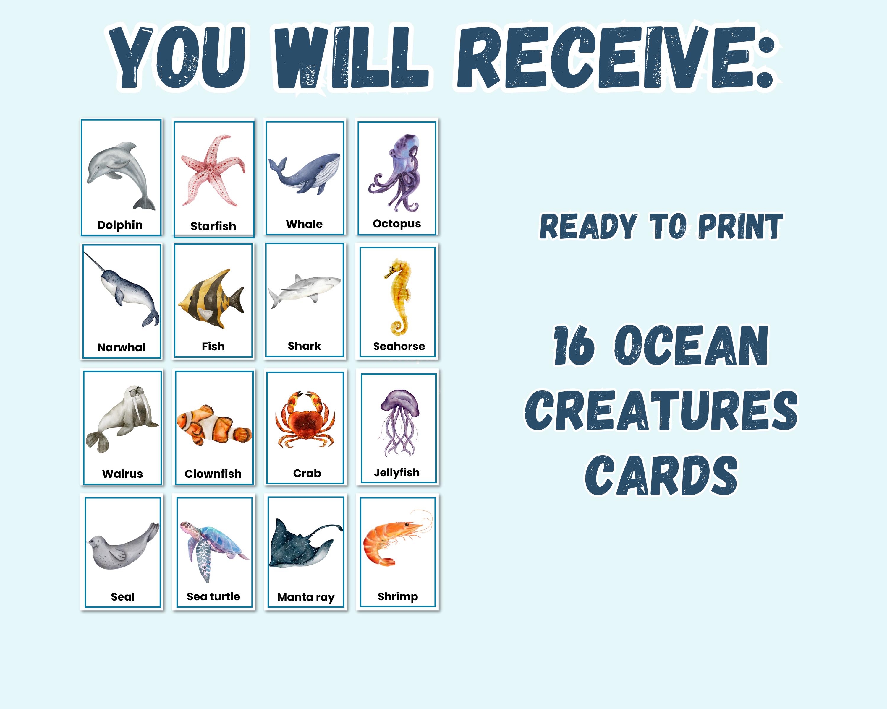 Ocean Animal Flashcards: Preschool Sea Creatures Printable (PDF ...