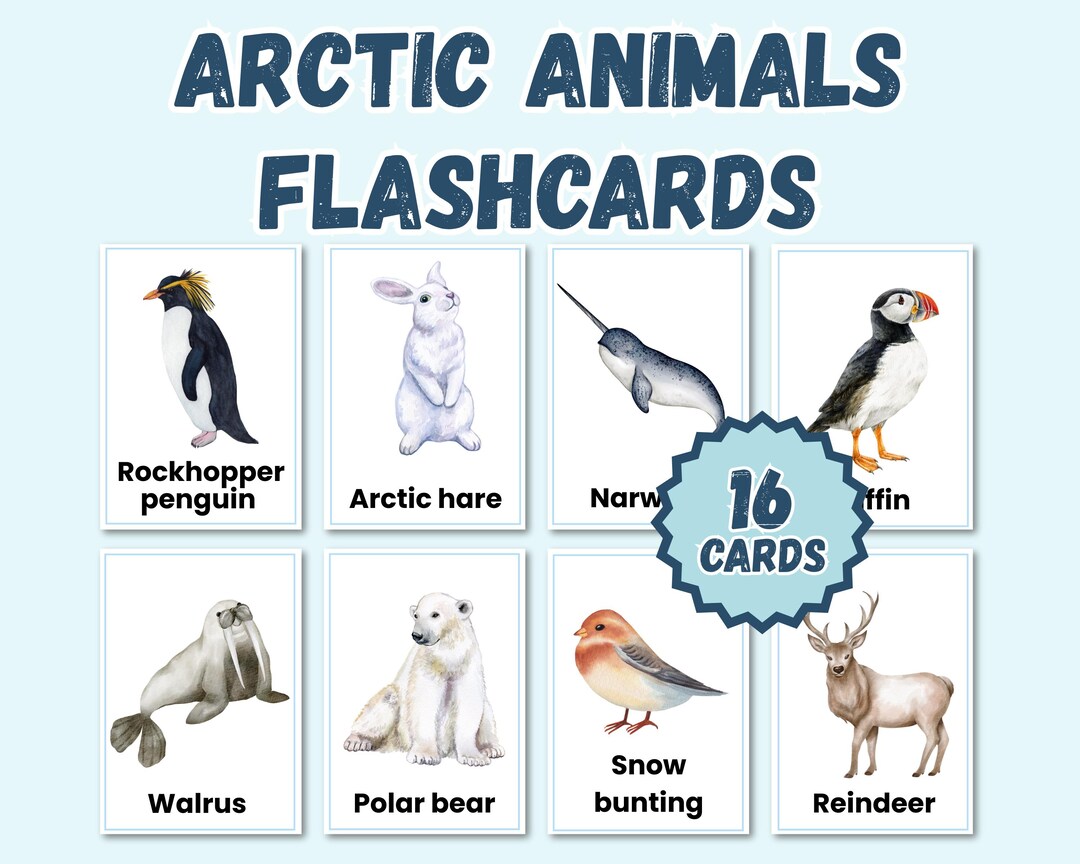 Printable Arctic Animal Flashcards | Montessori Preschool Nature Cards ...