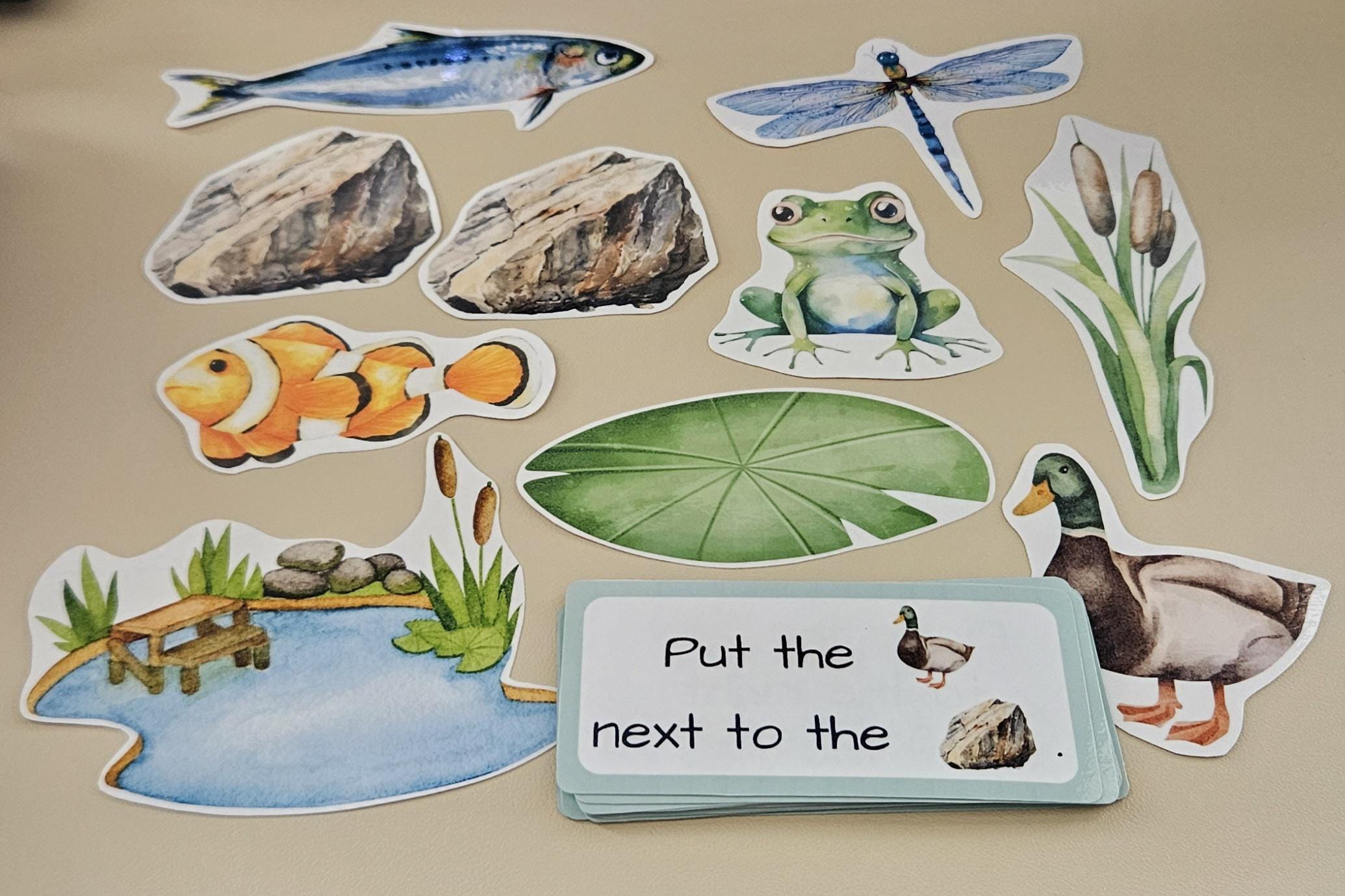 Prepositions Activity Printable | Frog Pond Positional Words ...