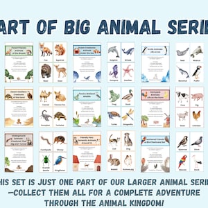 Pond & Wetland Animal Flashcards: Montessori Nature Learning (PDF ...
