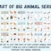 Pond & Wetland Animal Flashcards: Montessori Nature Learning (PDF ...
