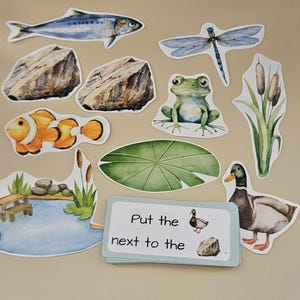 Prepositions Activity Printable | Frog Pond Positional Words ...