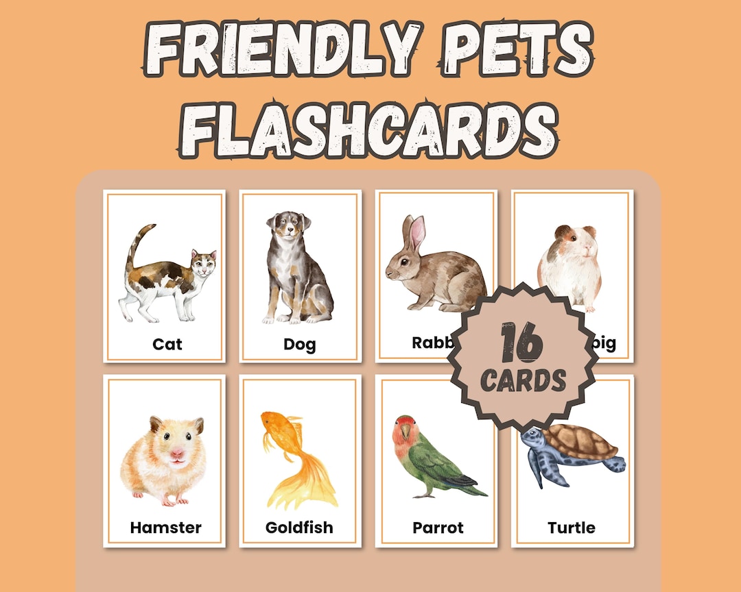 Friendly Pets Flashcards for Kids | Printable Realistic Pet Cards ...