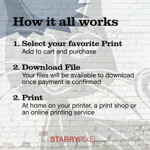 Monkey Photo Print Printable Digital Download Home Wall Boho Art for ...