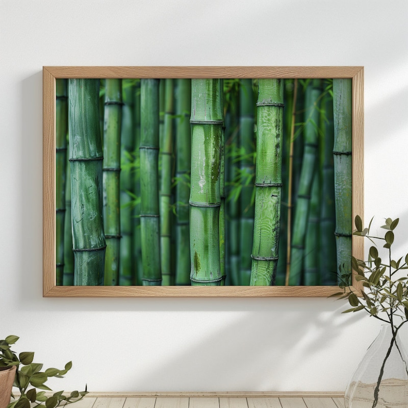 Bamboo Photo Prints - Etsy