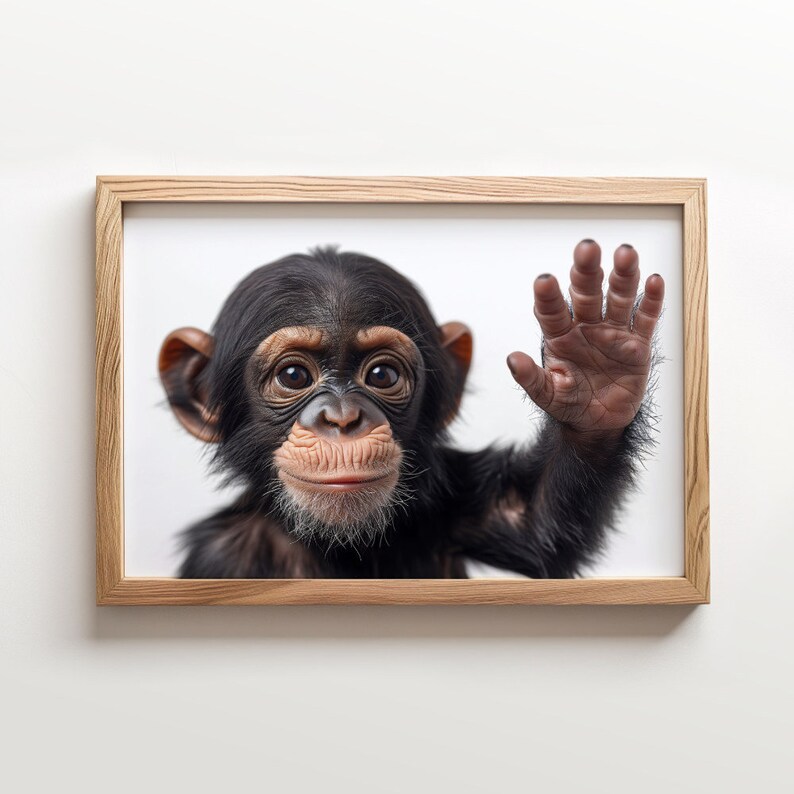 Monkey Photo Print Printable Digital Download Home Wall Boho Art for ...