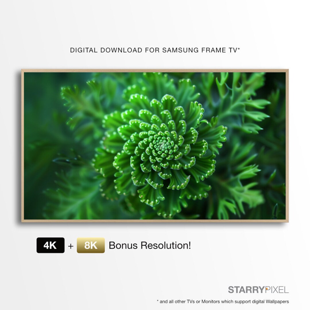 Beauty of Nature Fibonacci Golden Ratio Samsung Frame TV Artwork 4K 8K ...