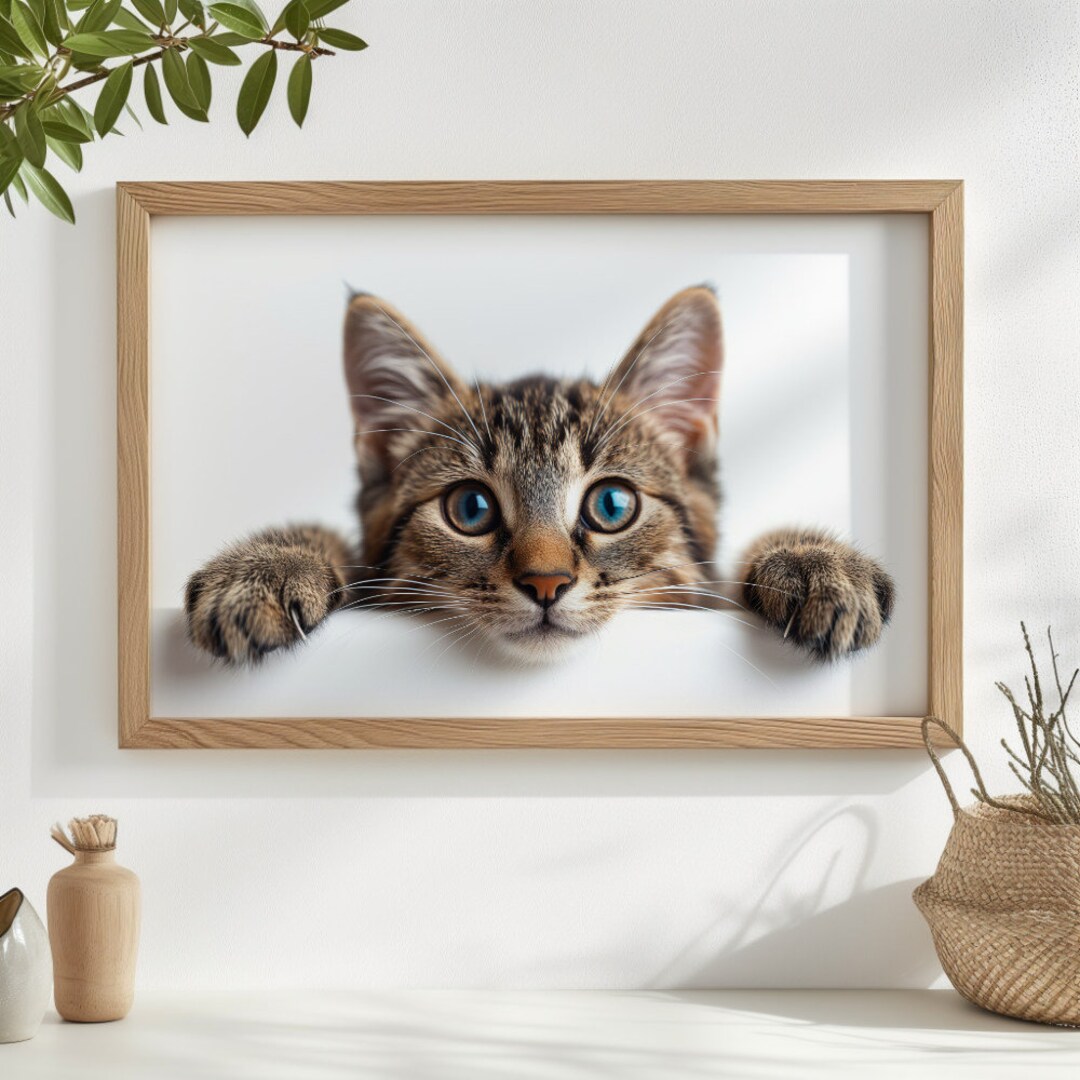 Cat Photo Print Printable Digital Download Home Wall Boho Art for ...