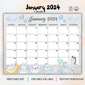 Editable January 2024 Calendar, Printable Fillable Monthly PDF Planner ...