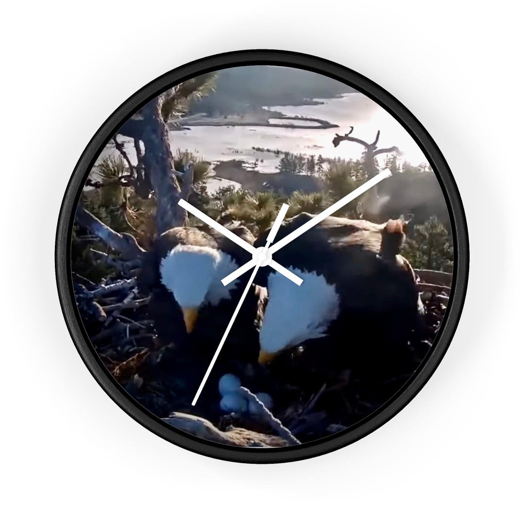 Jackie and Shadow Pip Watch Eagle Nest Wall Clock - Cute Nature Decor ...