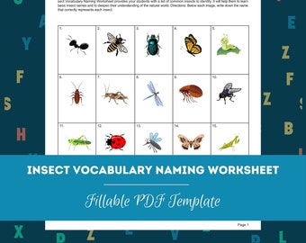 Colors Vocabulary Naming Worksheet for English Learners and English ...