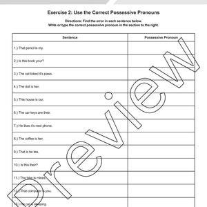 Possessive Pronouns Lesson: Introduction 3 Worksheets editable ...