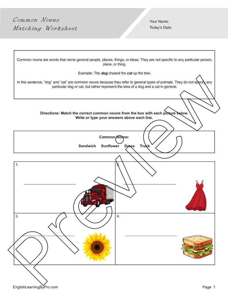 Common Nouns Worksheets Bundle for English Learners and English ...