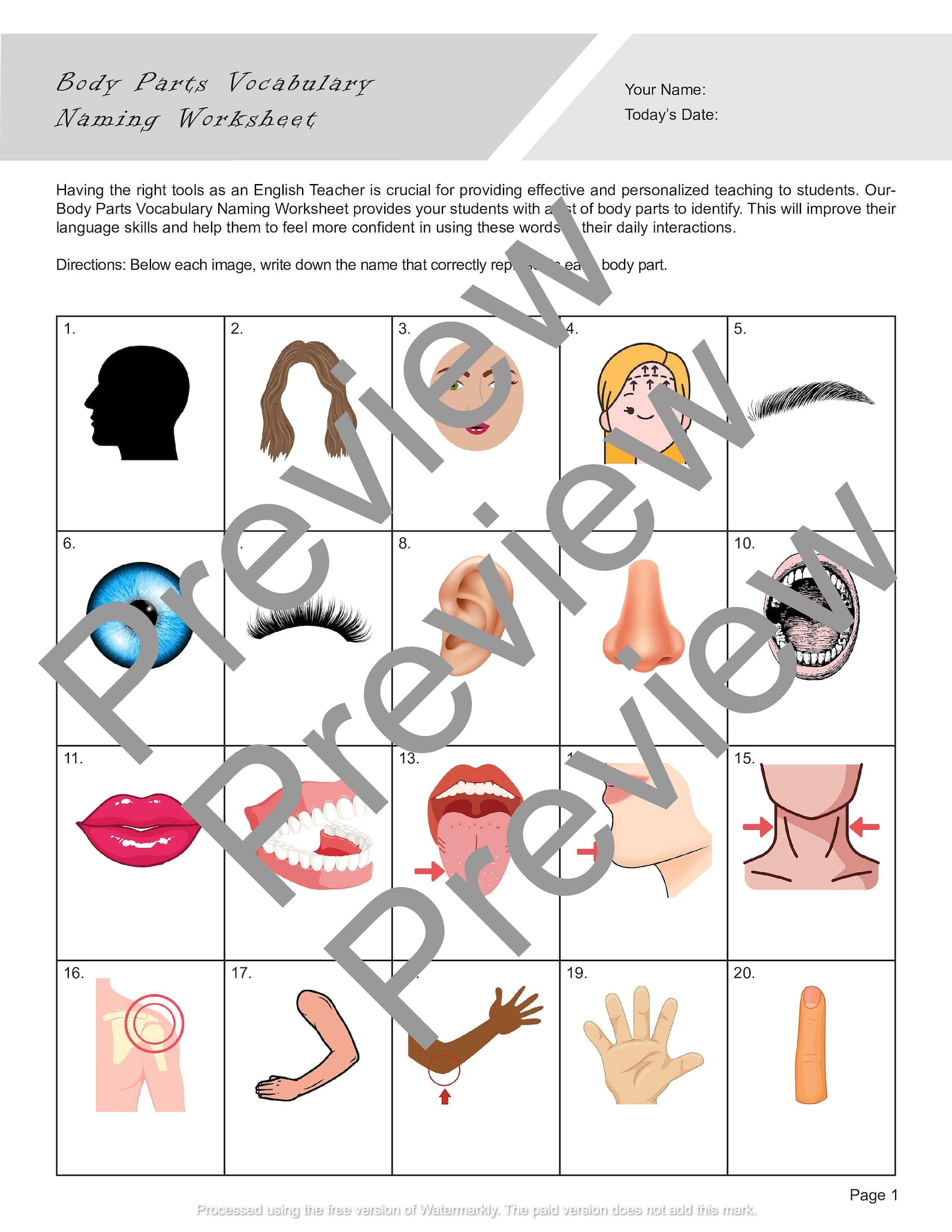 Body Parts Vocabulary Naming Worksheet for English Learners and English ...