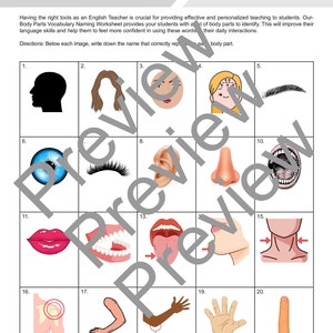 Body Parts Vocabulary Naming Worksheet for English Learners and English ...