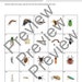 Insect Vocabulary Naming Worksheet for English Learners and English ...