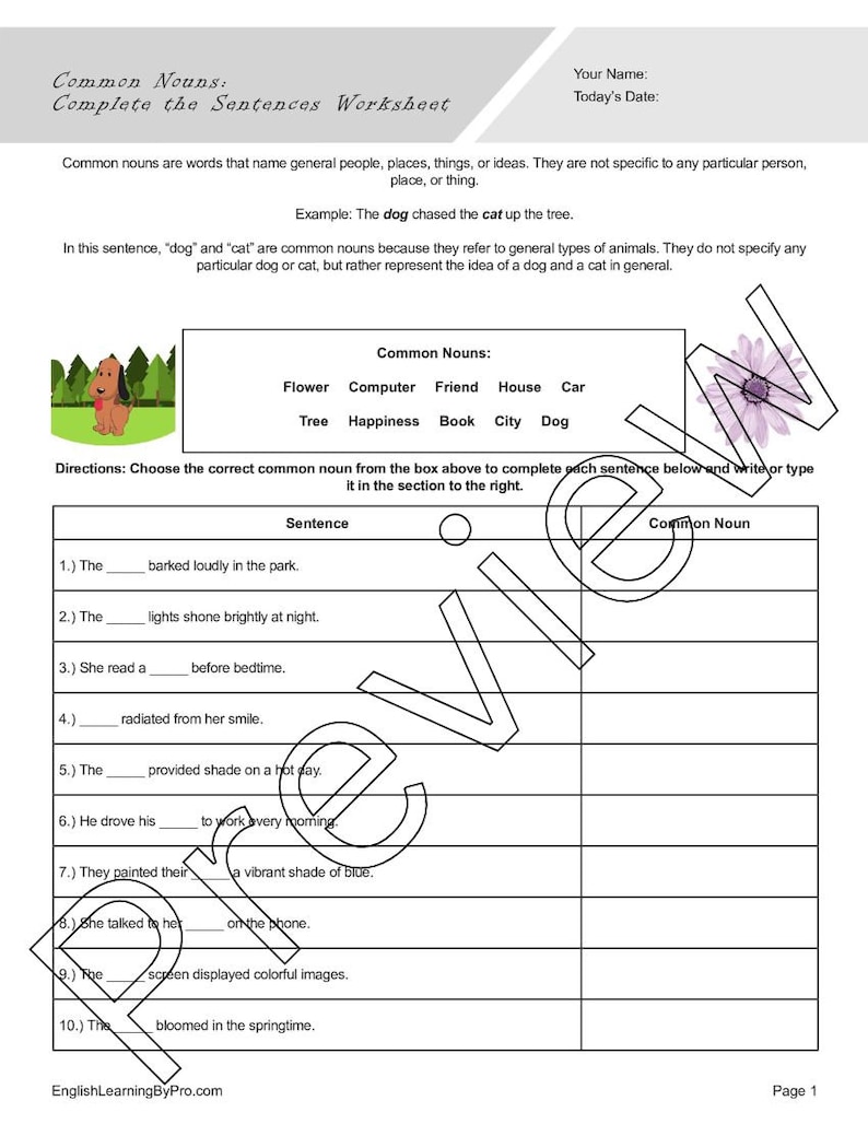 Common Nouns Worksheets Bundle for English Learners and English ...