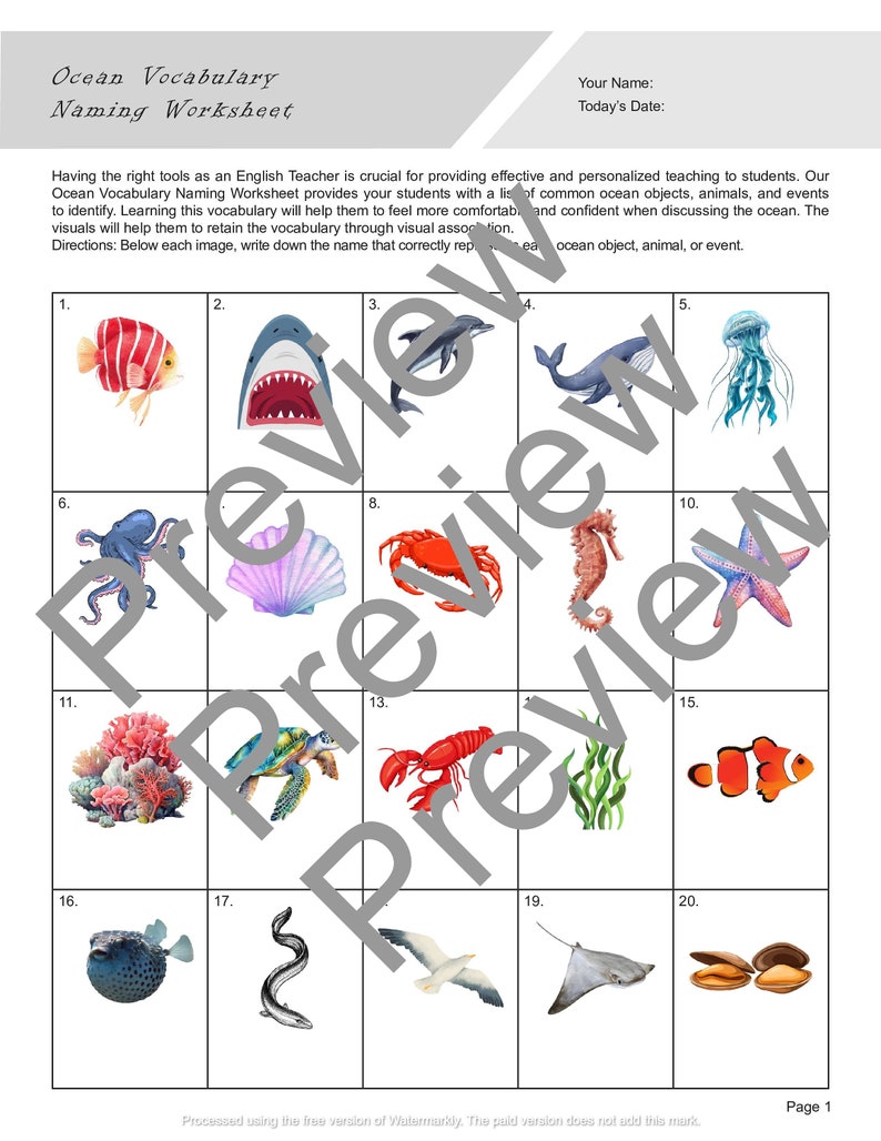 Ocean Vocabulary Naming Worksheet for English Learners and English ...