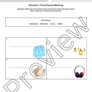Plural Nouns Lesson: Introduction + 4 Worksheets (editable, Fillable ...